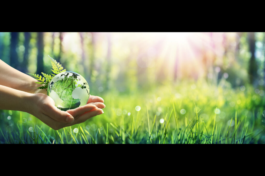 Green ammonia: India’s path to execution and the strategic role of EPC ...